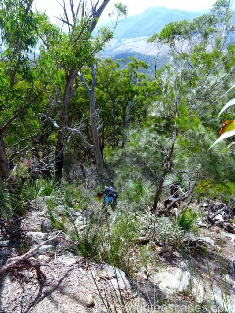 Mount Barney hike: how to prepare for Brisbane's most challenging summit