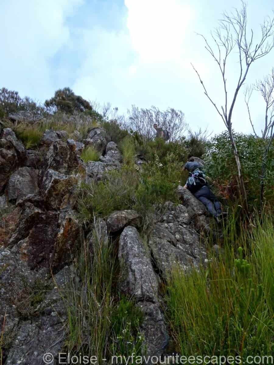 Mount Barney hike: how to prepare for Brisbane's most challenging summit