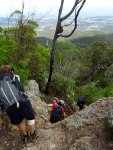 Flinders Peak hike: the most spectacular summit close to Brisbane ...