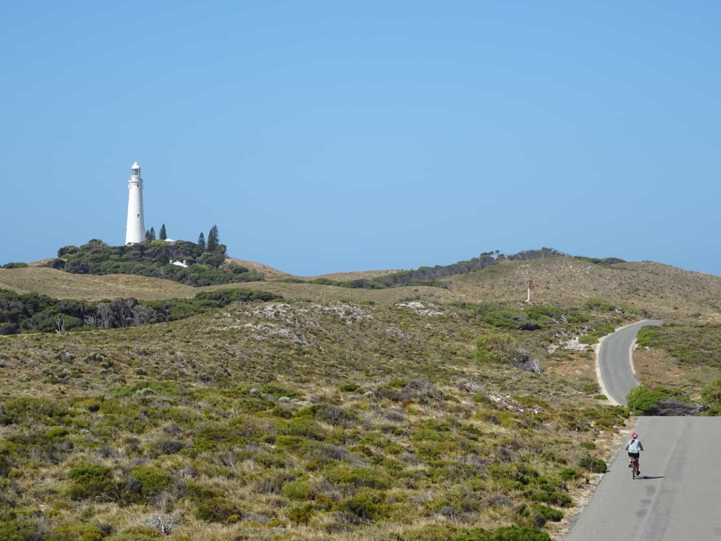 A memorable Rottnest Island day trip itinerary for nature lovers [map ...