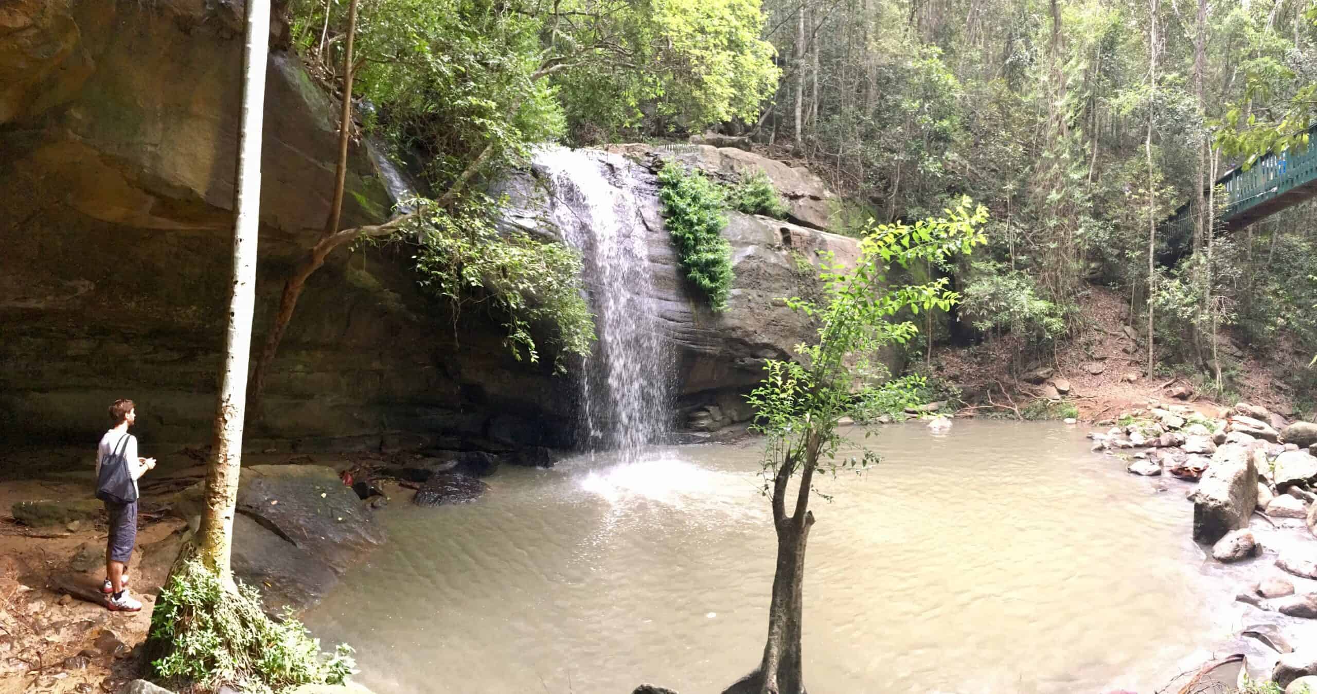 Serenity Falls (Buderim Waterfall), the inland jewel of the Sunshine Coast