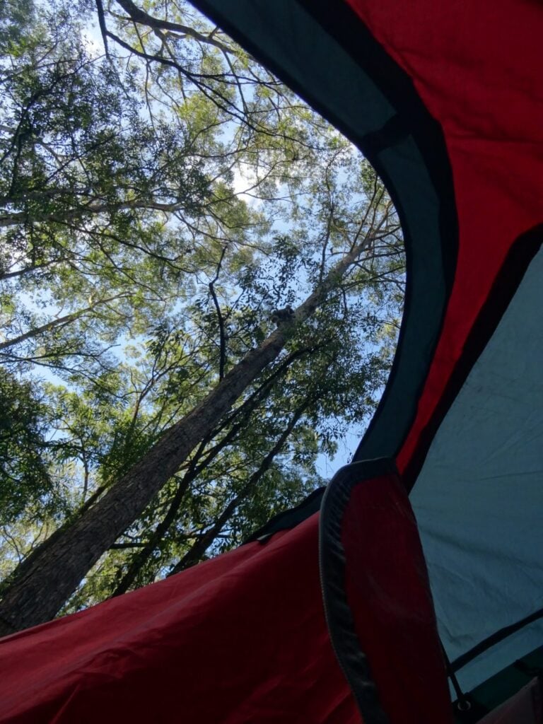Border Ranges National Park camping and hiking: Tips to plan your trip