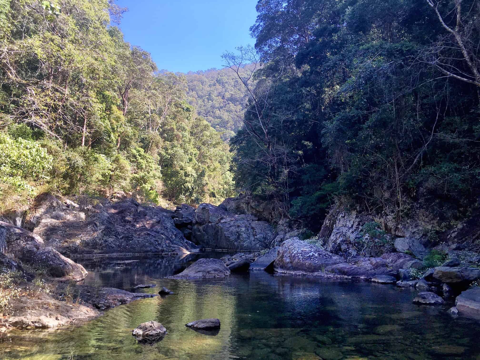 Conondale National Park walks: Booloumba Creek Falls and Mount Allan