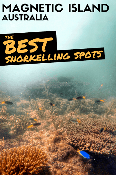 Tips for snorkelling Magnetic Island: Geoffrey Bay snorkel trail ...