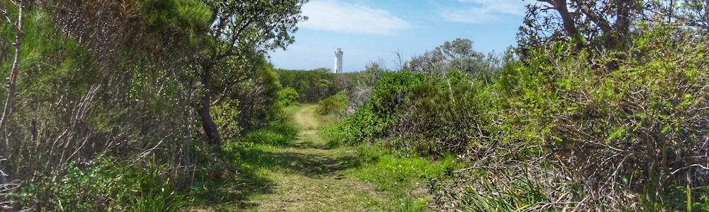 Point Stephens Lighthouse on Fingal Island: tips to plan your visit