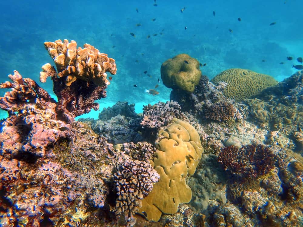 Things to do in Port Olry on Santo Island, Vanuatu's picture-perfect ...