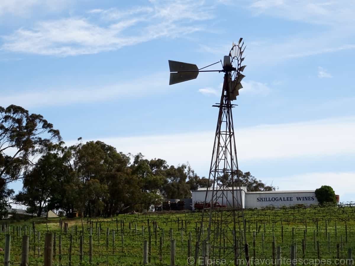 Clare Valley: tasting the reputed wines of South Australia