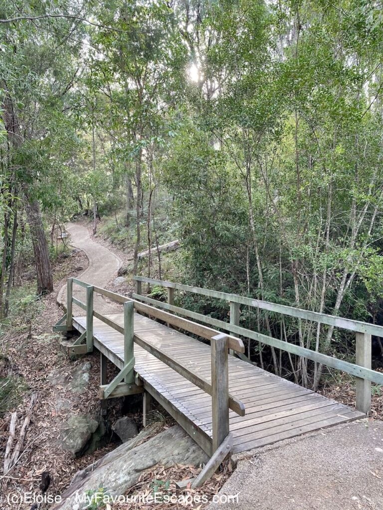 A short walk in Springwood Conservation Park to take a 2-hour break ...