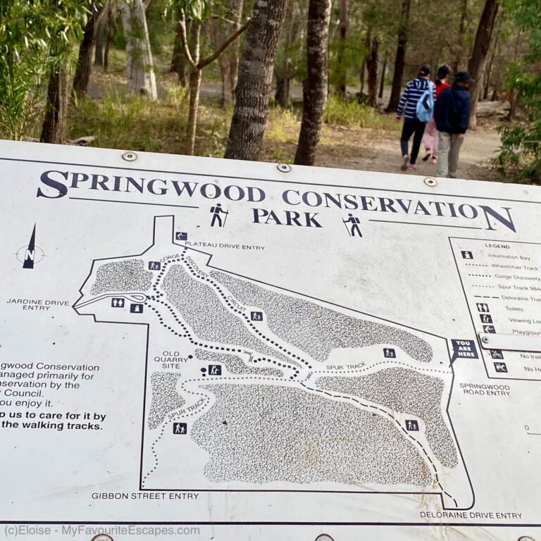 A short walk in Springwood Conservation Park to take a 2-hour break ...