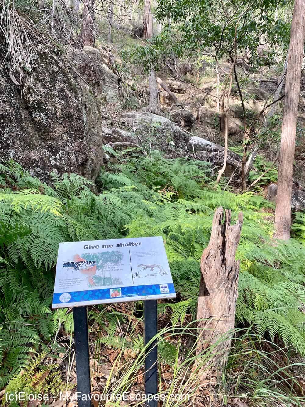 A short walk in Springwood Conservation Park to take a 2-hour break ...