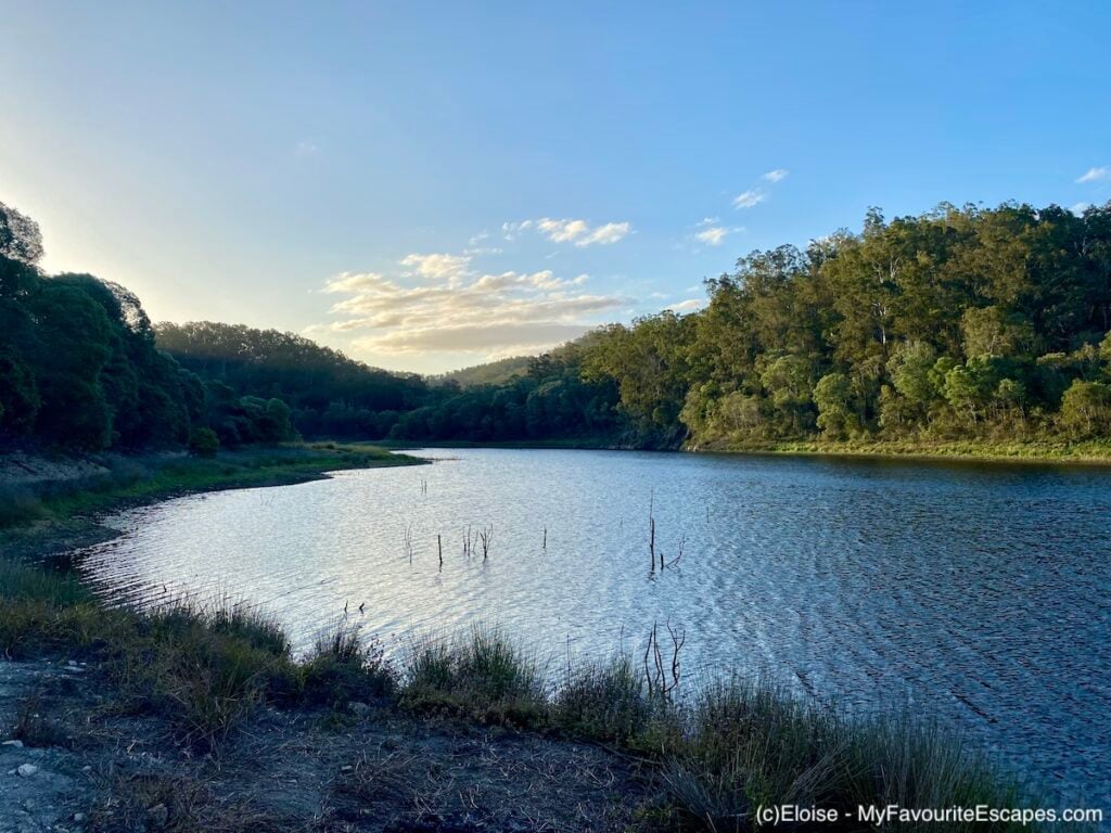 15+ short walks near Brisbane: the best nature options for a quick trip