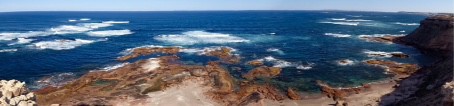 Our incredible experience in Baird Bay: swim with sea lions and dolphins