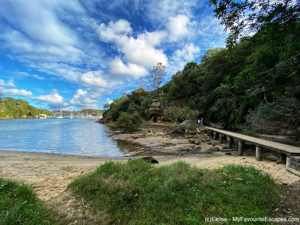 Manly to Spit Bridge walk: the best walk from Sydney CBD for nature ...