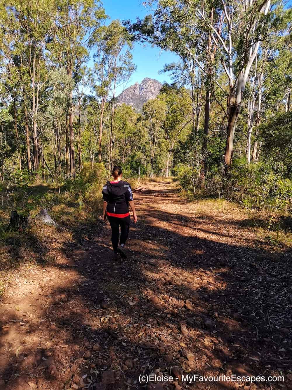 Mount Blaine Summit Track: a short, rewarding adventure in Ipswich