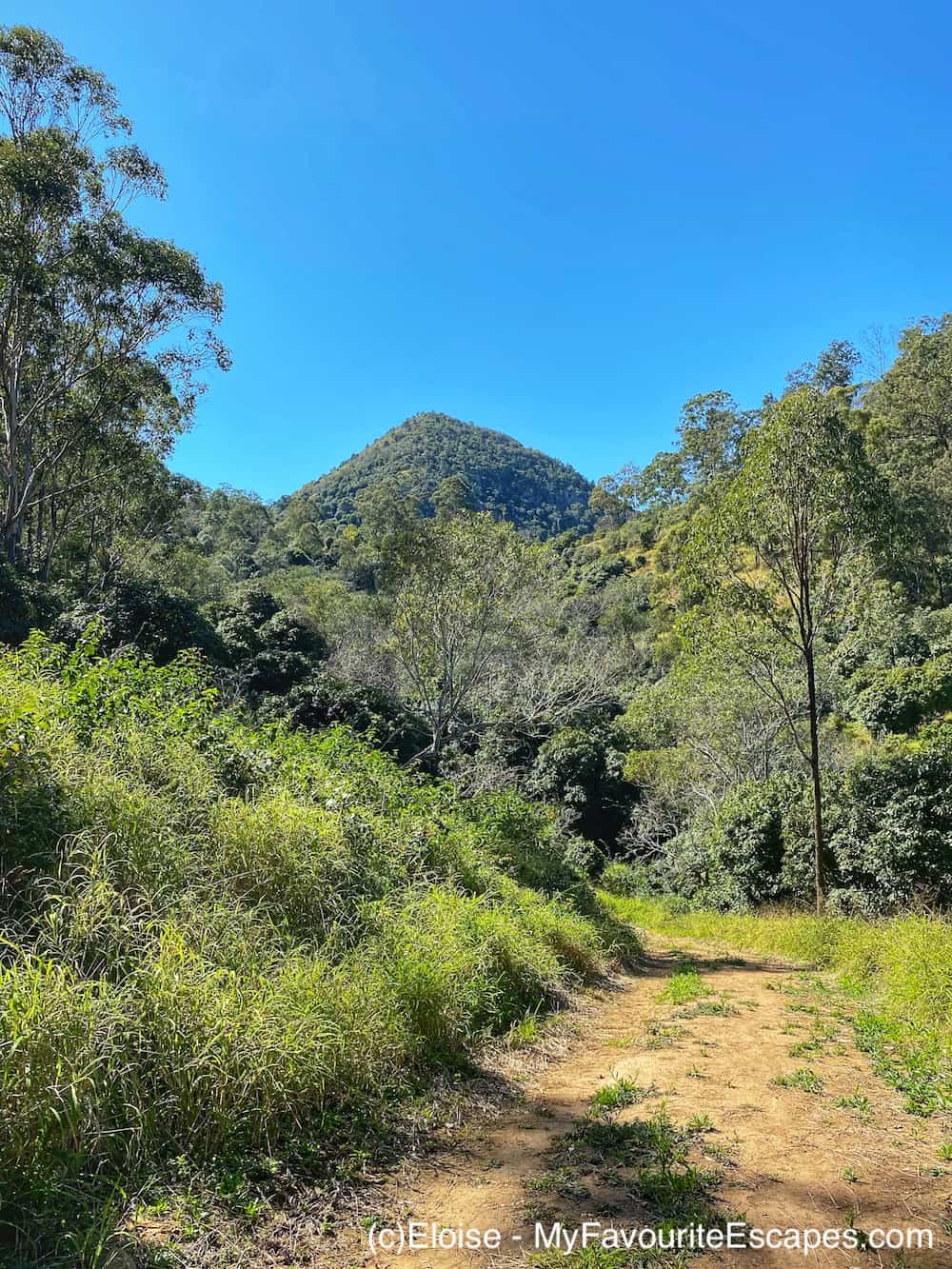 Mount Blaine Summit Track: a short, rewarding adventure in Ipswich