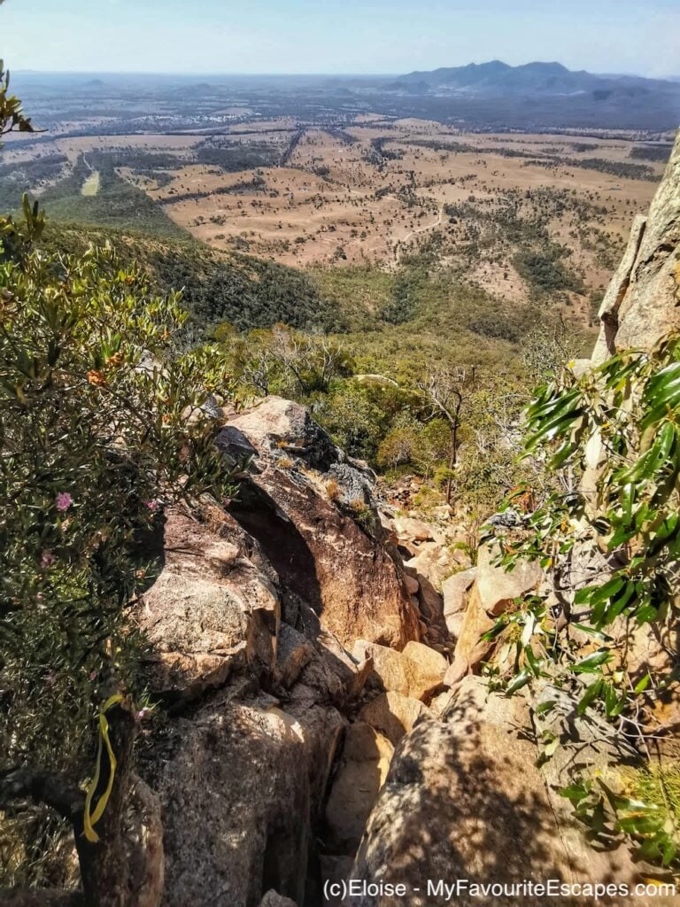 Mount Walsh National Park: a fun summit hike and lovely drive off the ...