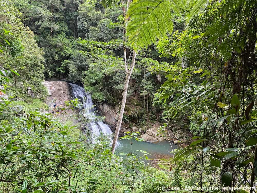 Currumbin waterfalls: how to explore Cougal Cascades & Currumbin Rock Pool