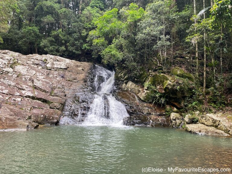 Currumbin waterfalls: how to explore Cougal Cascades & Currumbin Rock Pool