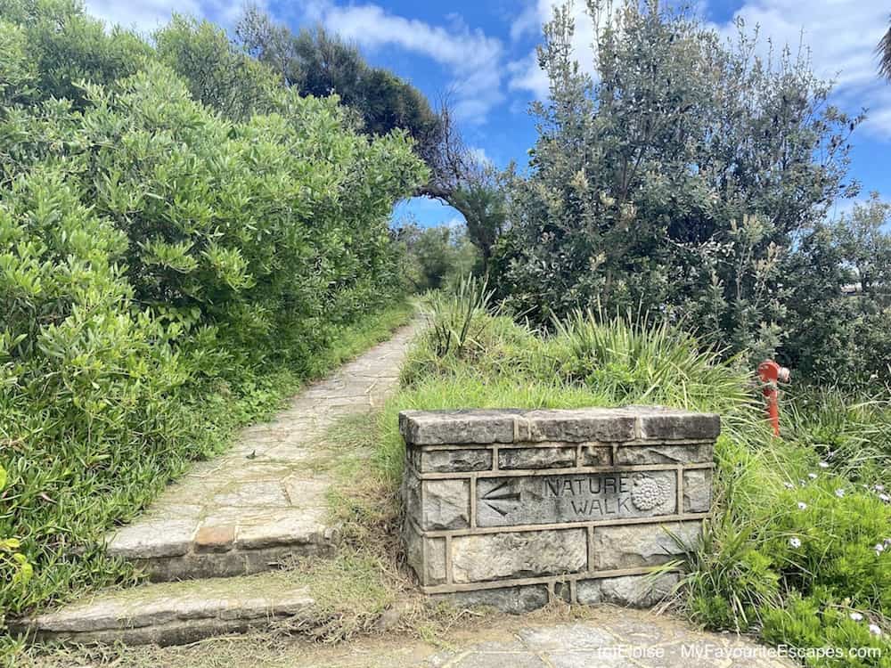 Tips to explore the spectacular Dee Why to Curl Curl coastal walk ...
