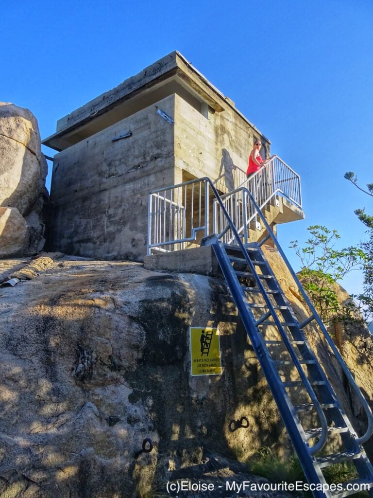 The Forts Walk, Magnetic Island must-do hike: tips to find koalas and ...