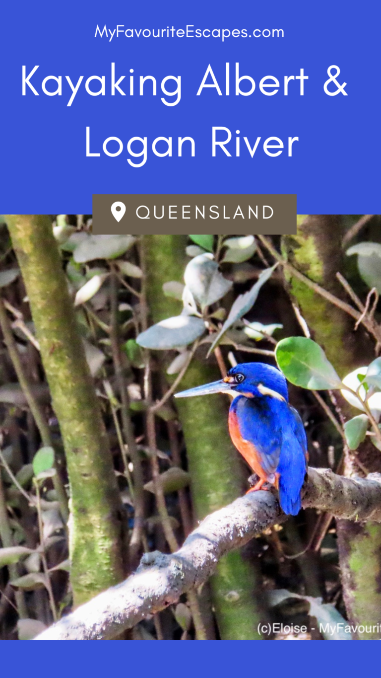 Logan River: Kayaking from Albert River Park to Logan River Parklands