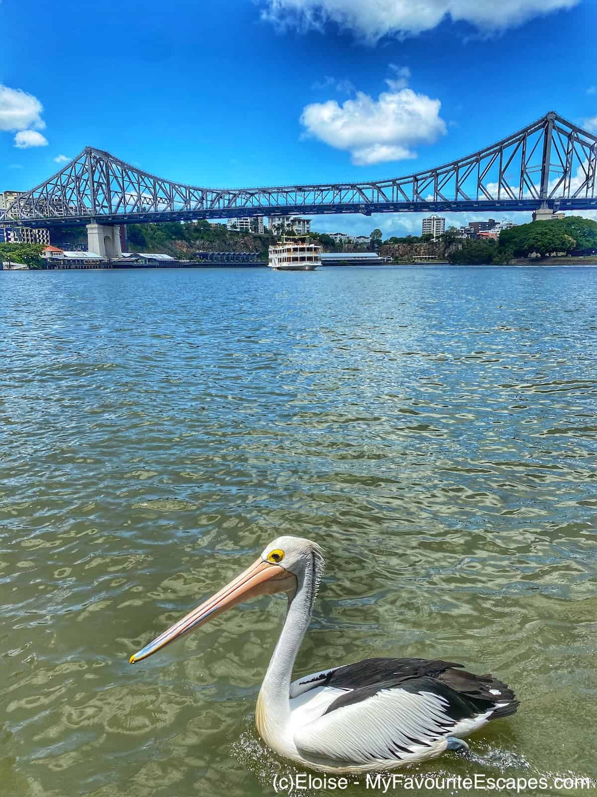 Brisbane vs Gold Coast: Which destination is the best?