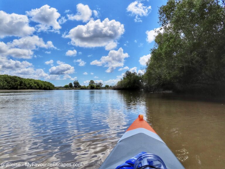 Logan River: Kayaking from Albert River Park to Logan River Parklands