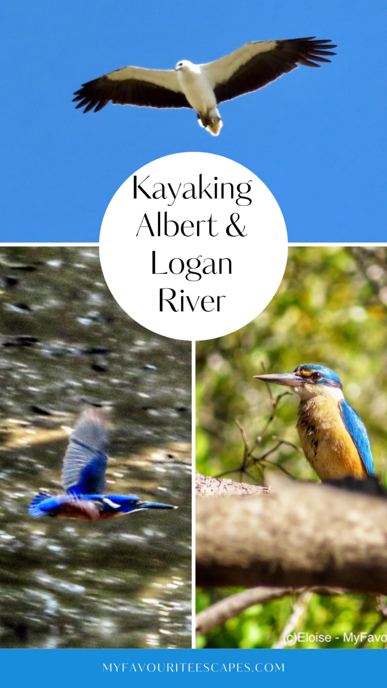Logan River: Kayaking from Albert River Park to Logan River Parklands