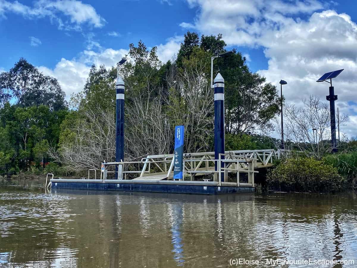 Logan River: Kayaking from Albert River Park to Logan River Parklands