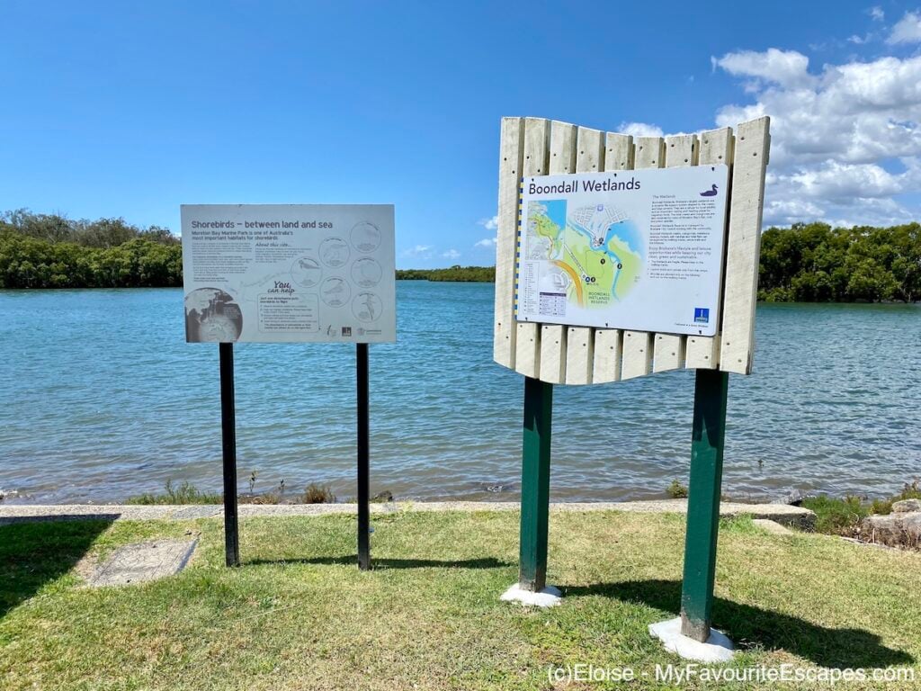 Boondall Wetlands kayaking tips to plan your little adventure