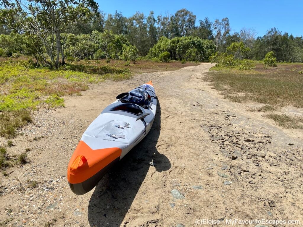 Boondall Wetlands kayaking tips to plan your little adventure