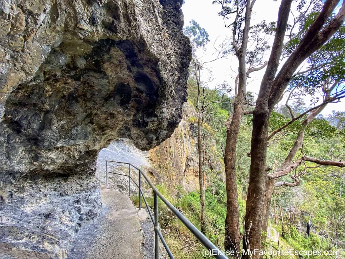 Tips to walk Caves Track in Lamington National Park