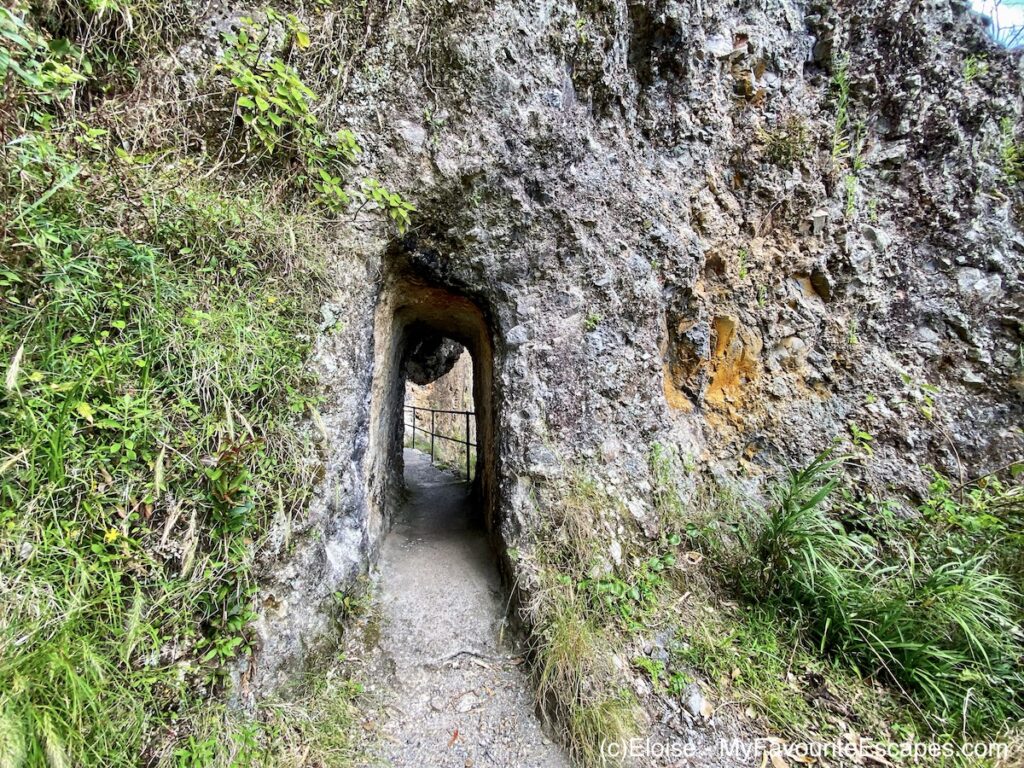 Tips to walk Caves Track in Lamington National Park