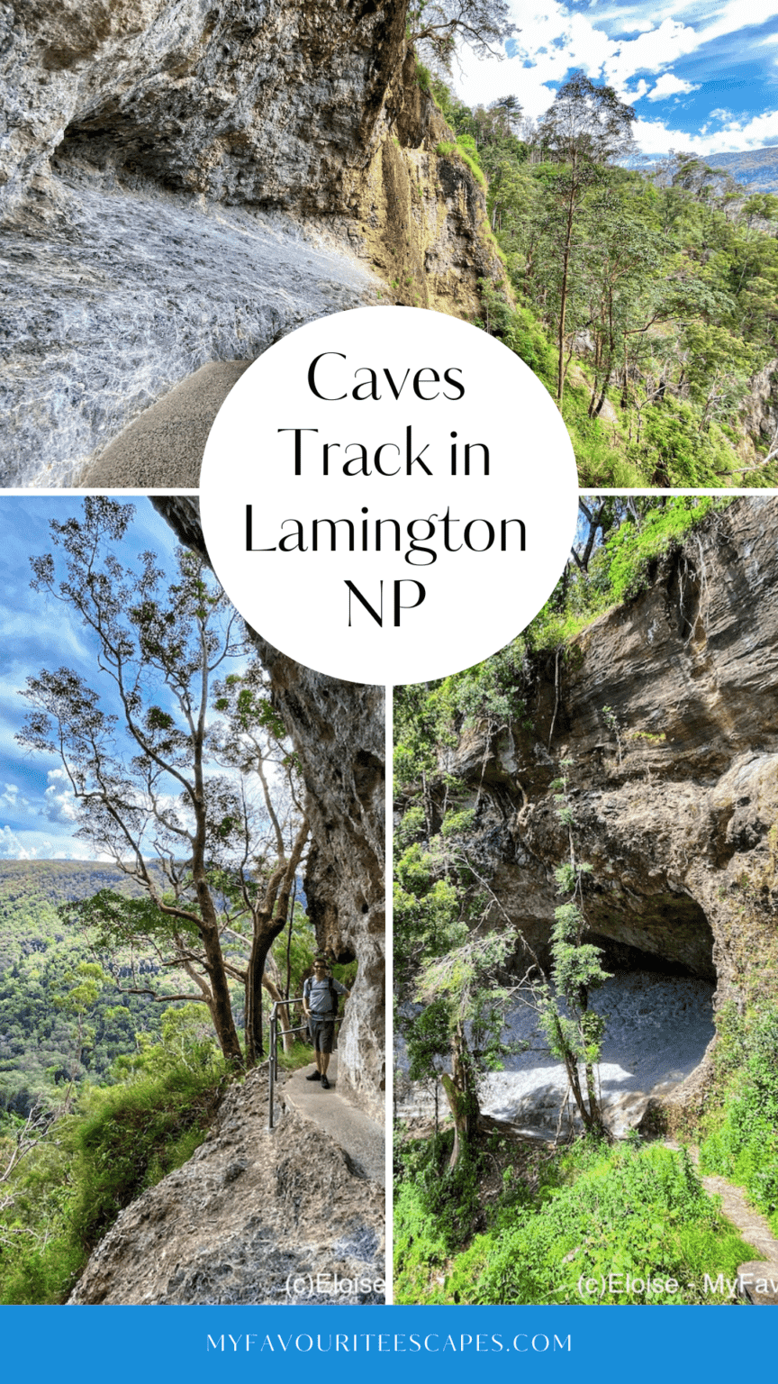 Tips to walk Caves Track in Lamington National Park