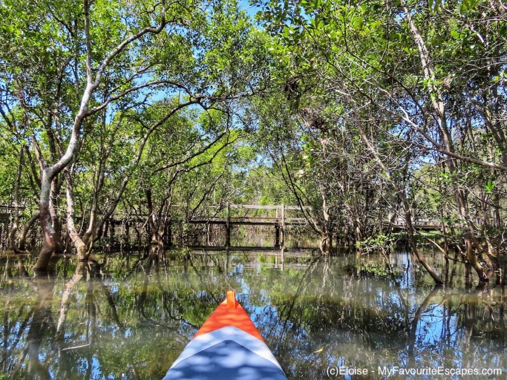 Boondall Wetlands kayaking tips to plan your little adventure