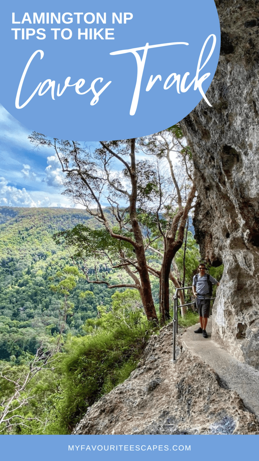 Tips to walk Caves Track in Lamington National Park