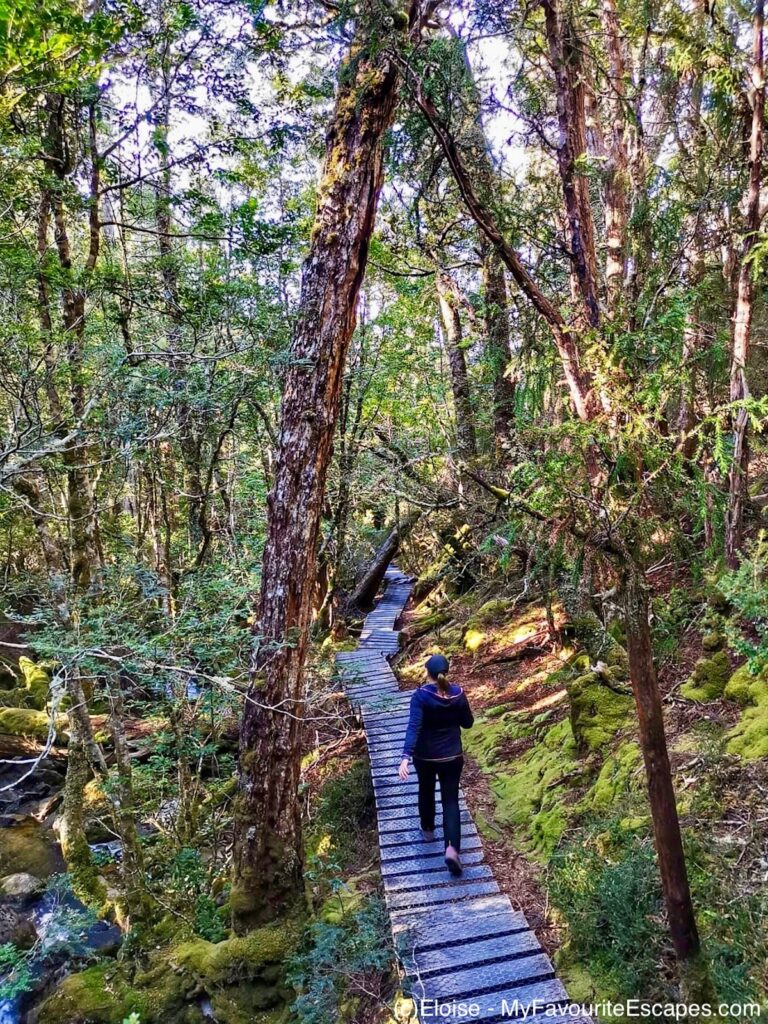 Is Cradle Mountain worth visiting? Why it’s a must for nature lovers