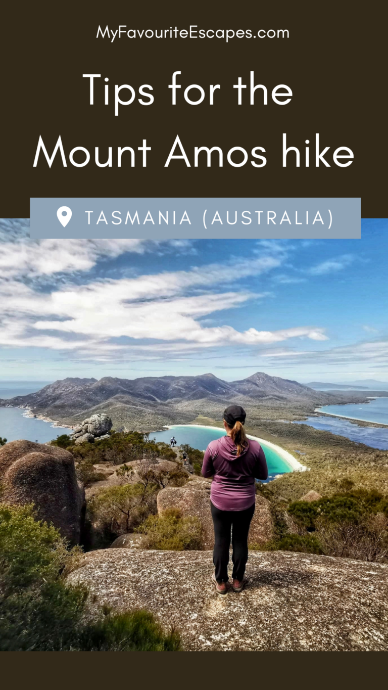 Important things to know before starting the Mount Amos hike