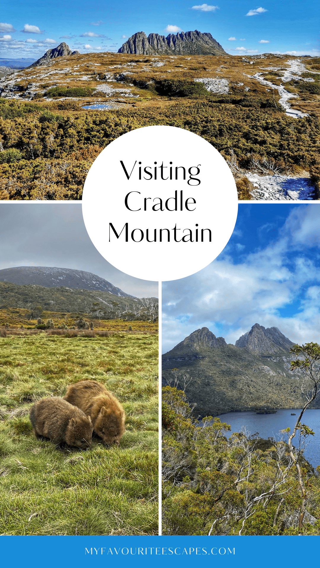 Is Cradle Mountain worth visiting? Why it’s a must for nature lovers