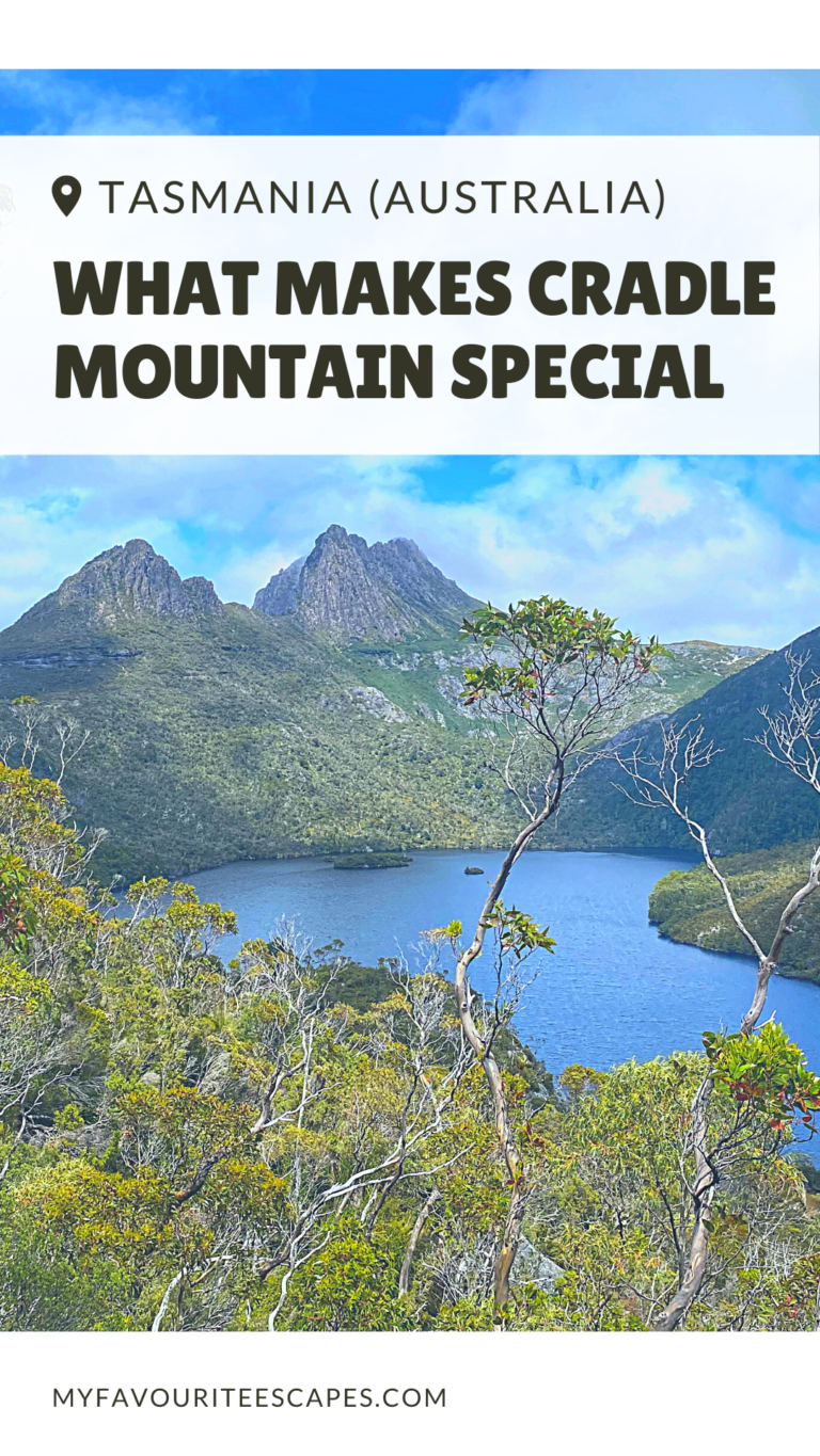 Is Cradle Mountain worth visiting? Why it’s a must for nature lovers