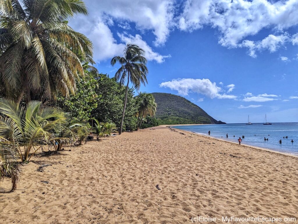 Explore Death in Paradise filming locations (up to Season 13)