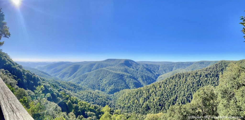 A summer escape to Barrington Tops National Park: is it worth it?