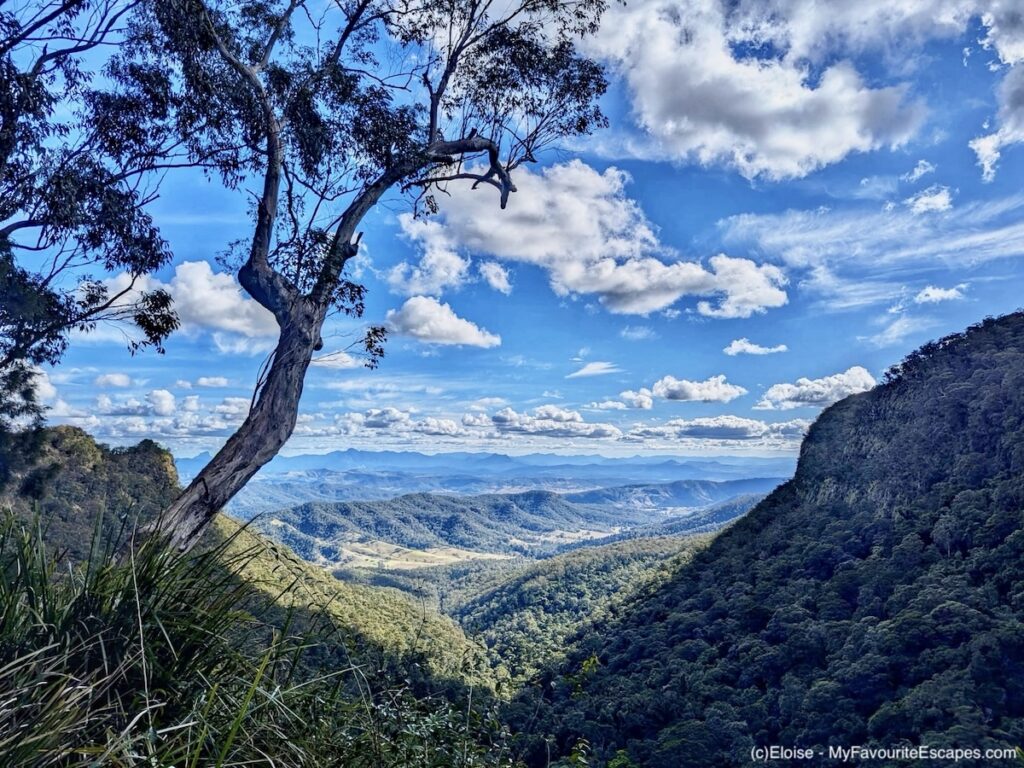 Moran Falls: An easy walk with nice views in Lamington National Park