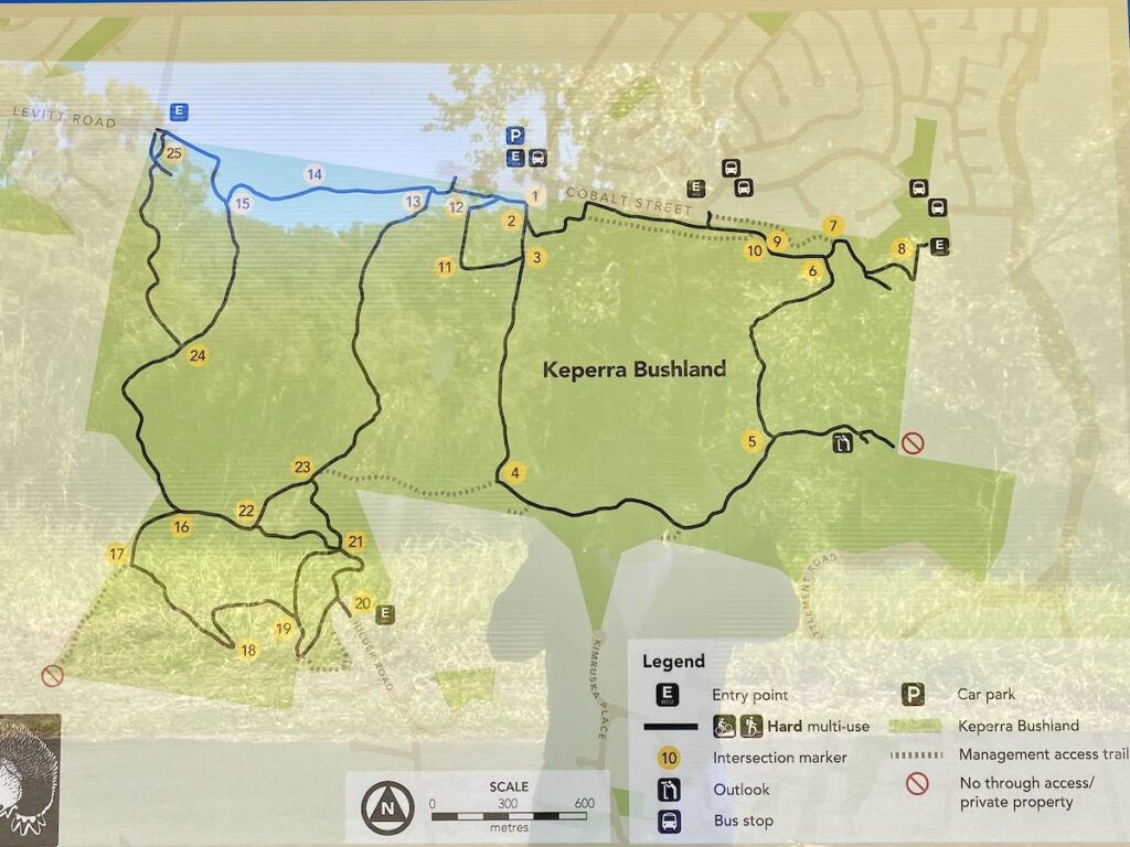Keperra Bushland Reserve walk: a short loop with a lookout near Brisbane