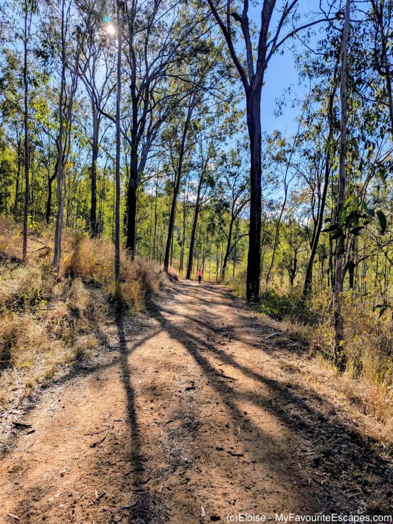Mount Joyce summit walk: our experience and tips