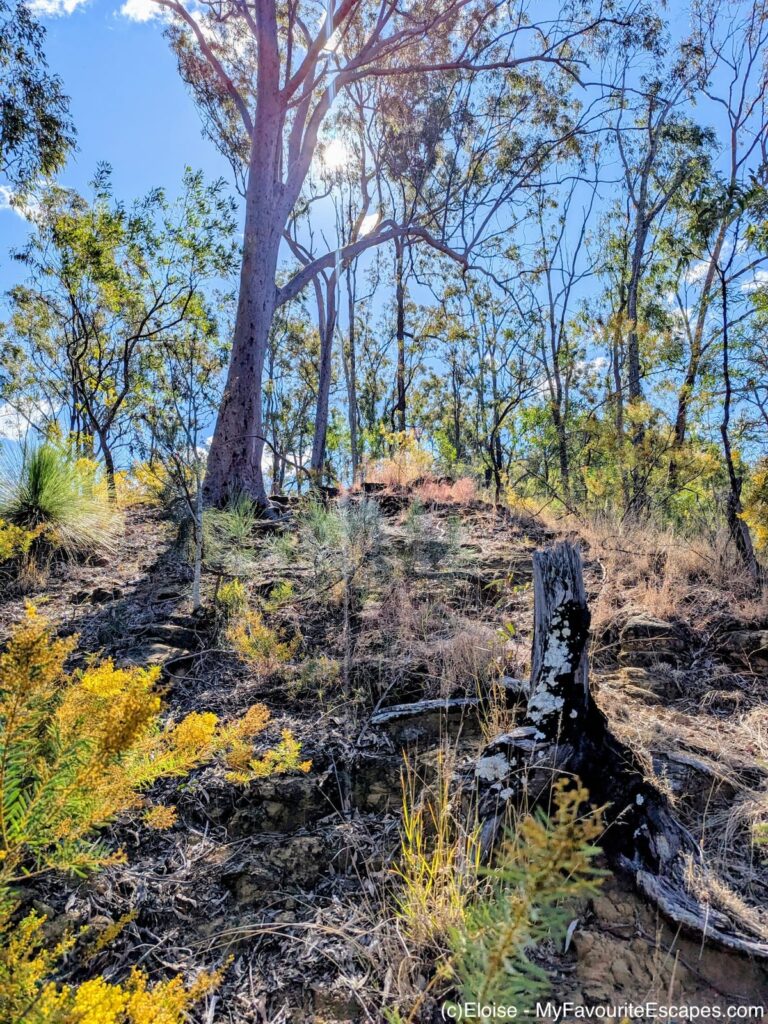 Mount Joyce summit walk: our experience and tips