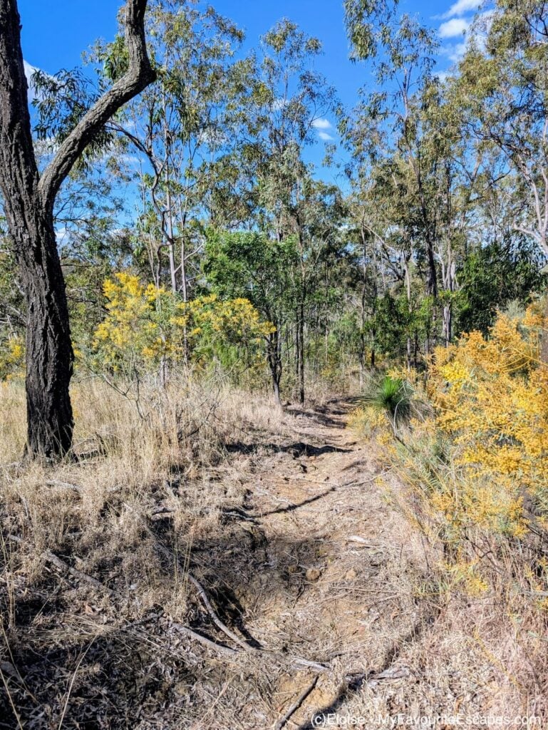 Mount Joyce summit walk: our experience and tips