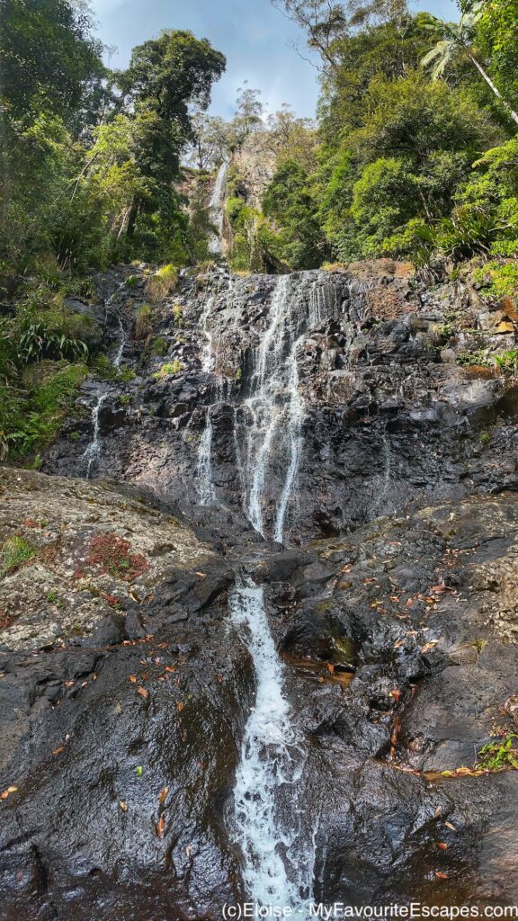 What to do in Springbrook National Park: lookouts, hikes and itinerary ...