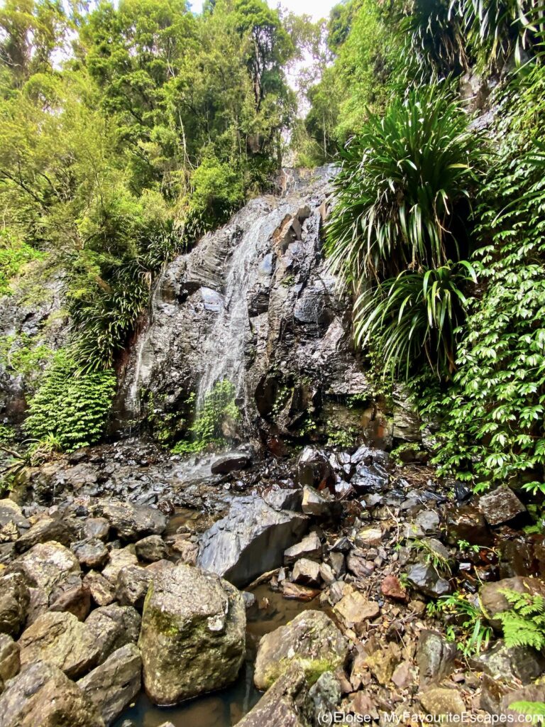 Which Springbrook National Park waterfalls should you visit?