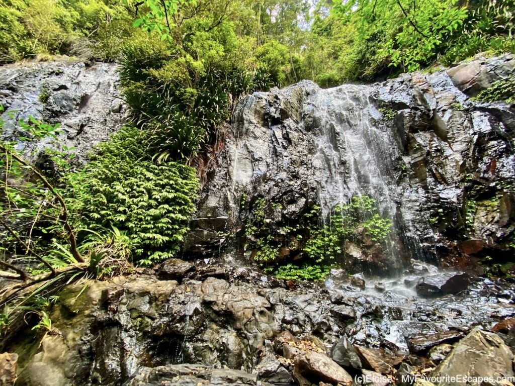 Which Springbrook National Park waterfalls should you visit?